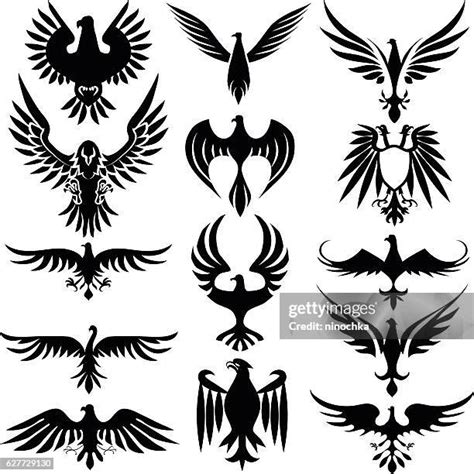 Hawk Crest Photos And Premium High Res Pictures Getty Images