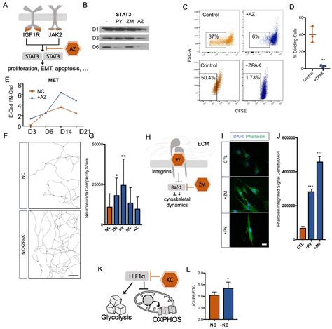 Figures And Data In Chemical Modulation Of Transcriptionally Enriched