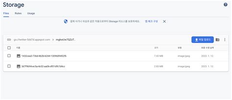 Firebase Storage And Image Upload