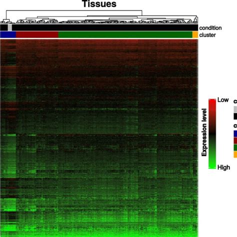 unsupervised clustering of tcga expression data associated with 243