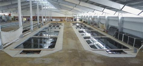 Fish Hatcheries Wyoming Game And Fish Department