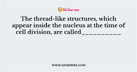 The Thread Like Structures Which Appear Inside The Nucleus At The Time Of Cell Division Are