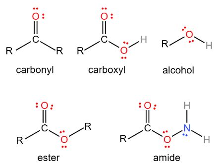 Carbonyl Functional Group
