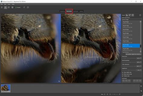 Macro Photography Tutorials Nature Ttl