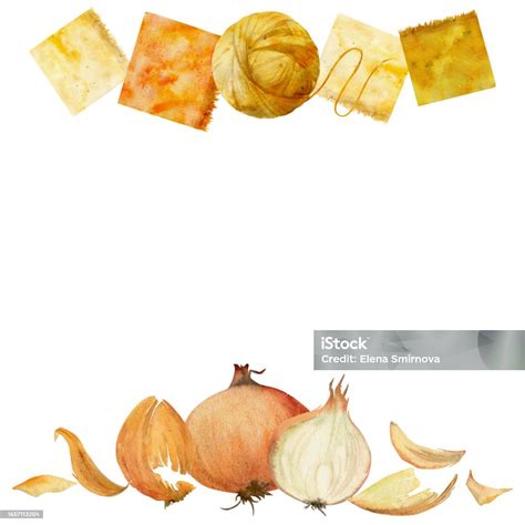 손으로 그린 수채화 양파 착색 천연 식물 염료 및 취미 수제 직물 재료 그림은 정사각형 프레임 흰색 배경으로 분리되어 있습니다 상점 로고 인쇄물 웹 사이트 명함 소책자