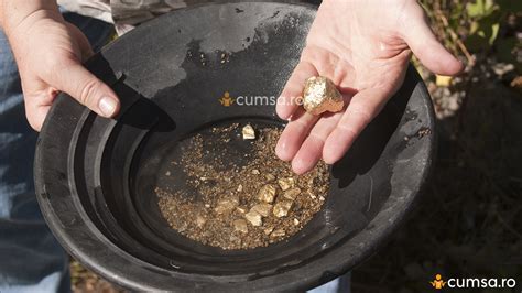 Unde Se Gasesc Pepite De Aur In Romania Cum Sa Le Descoperi Si Care