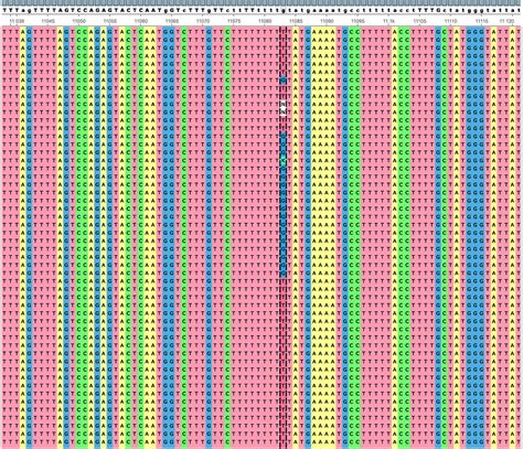 Issues With Sars Cov 2 Sequencing Data Ncov 2019 Genomic Epidemiology