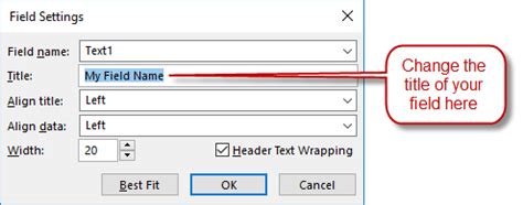 Custom Text Fields In Microsoft Project OnePager