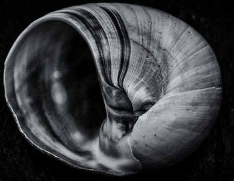Edward Weston Photographer Kellers Blog Site Edward Weston Famous