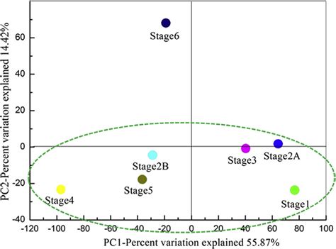 Functional Gene Pca Graph With Ade4 And Ggplot2 Software Package Based Download Scientific