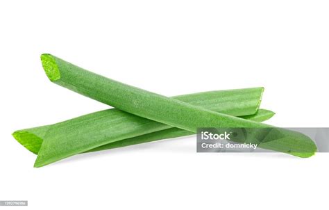 흰색 배경에 고립 된 신선한 녹색 양파를 다진 것 신선한 컷 향신료 0명에 대한 스톡 사진 및 기타 이미지 0명 건강한