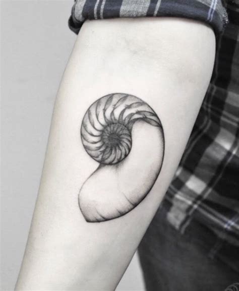 Pin By Elie Akz On Best Body Art Seashell Tattoos Nautilus Tattoo