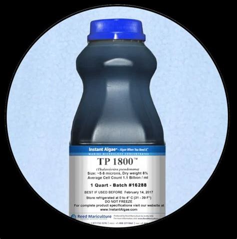 Thermal Ctp Systems Tp 1800 Wholesaler From Chennai