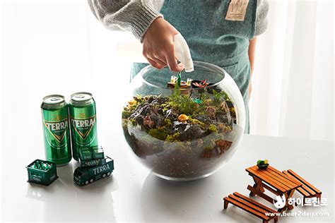 내 방 안 작은 테라 정원 청정 테라리움 만들기