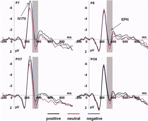 Dryaghoub Nazaralian On Linkedin Emotional Word Processing Occurs In Three Stages P1 N170
