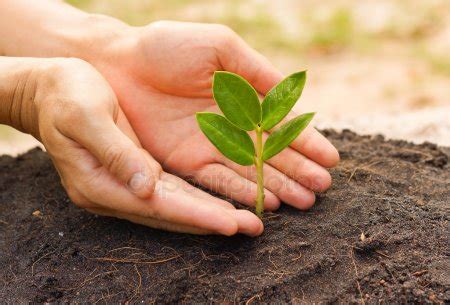 Soil Conservation Stock Photos Royalty Free Soil Conservation Images Depositphotos