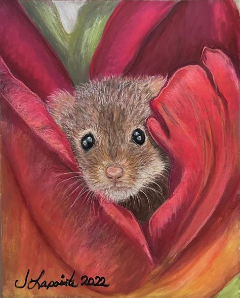 Harvest Mouse Pastel By Jeanette Lapointe Fine Art America