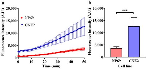 An Msre Assisted Glycerol Enhanced Rpa Crispr Cas12a Method For