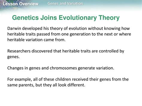 Ppt 171 Genes And Variation Powerpoint Presentation Free Download