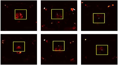 K Trans Samples From Left To Right It Is Represented The Transition Download Scientific