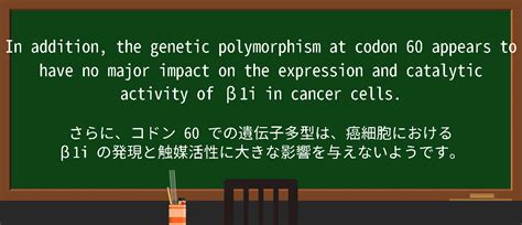 【英単語】genetic Polymorphismを徹底解説！意味、使い方、例文、読み方 おもしろい英文法