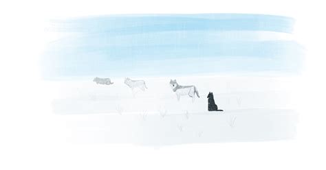 Beginner Programmers Guide To Using Git In A Team