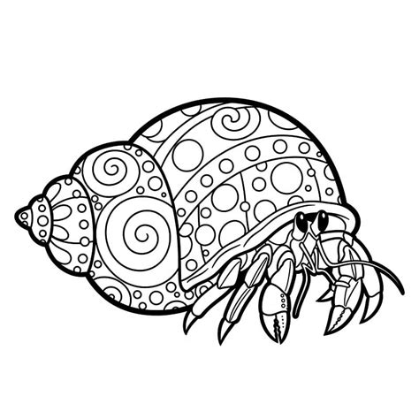 Beautiful Hermit Crab Coloring Page Download Print Or Color Online