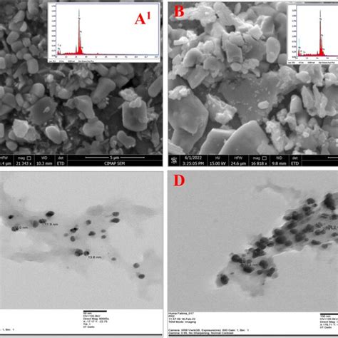 Antibacterial Activity Of Bio Synthesized Nps S1 Agcu Nps And S2 Ag