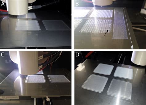 1 Melt Electrowriting Mew Of Pcl Scaffolds Photographs Of The Mew Download Scientific