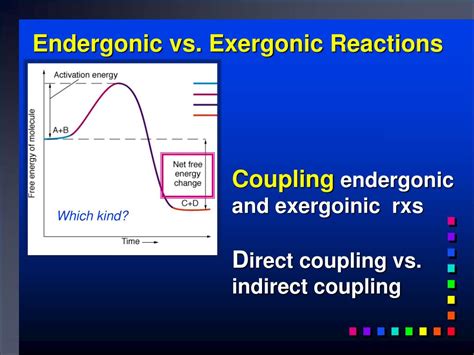 Ppt Endergonic And Exergonic Reactions Powerpoint