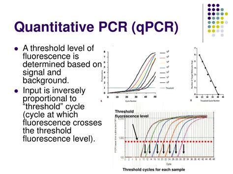 Ppt Chapter 7 Nucleic Acid Amplification Techniques Powerpoint