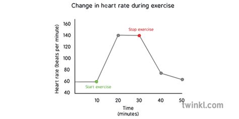 Effect Of Exercise On Heart Rate Science Graph Ks4 Illustration Twinkl