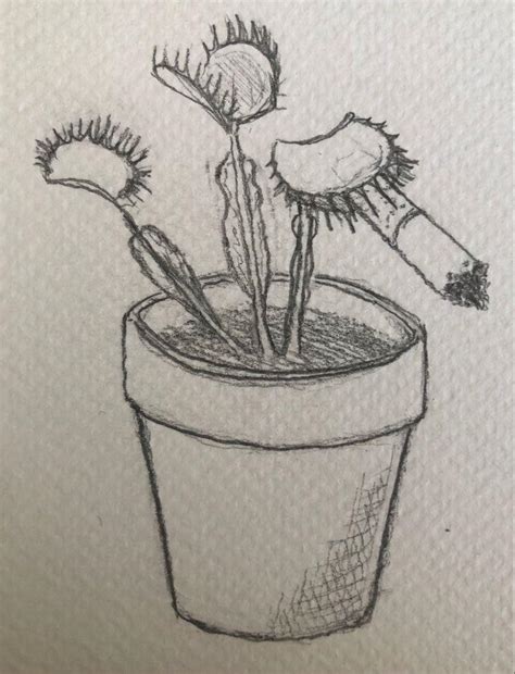 Puff Puff And Pass Rsketch