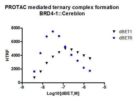 Cereblon Ternary Complex Protac Assay Service Reaction Biology