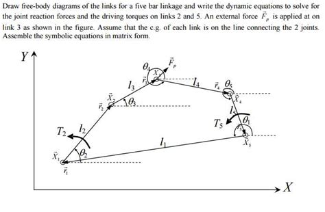 Mastering Free Body Diagrams With These Answers