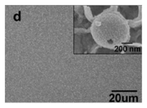 SEM Images Of A SiO2 Spheres B And D Silica Ni3Si2O5 OH 4 Download Scientific Diagram