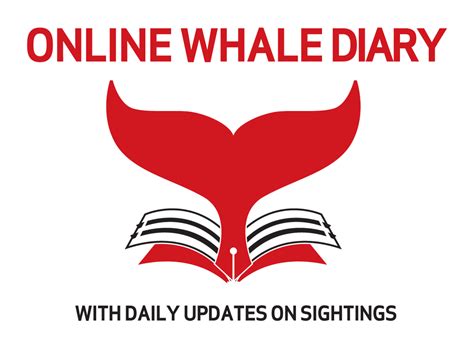 Elding 25 Years At Sea Elding Adventure At Sea