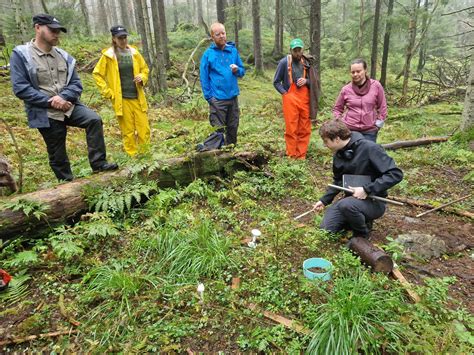 Benchmarks Project Marks 2024 Key Achievements And Sets Direction For 2025 Benchmarks