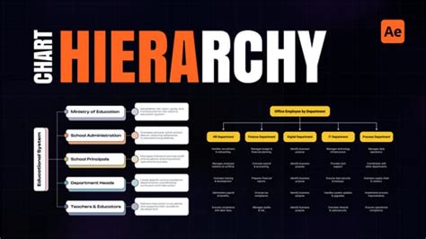 Hierarchy Chart Elements Ft Hierarchy Chart And Hierarchy Envato