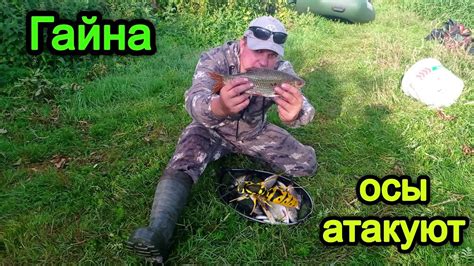 Рыбалка на реке Гайна. Рыбалка на фидер. Рыбалка в Беларуси - YouTube