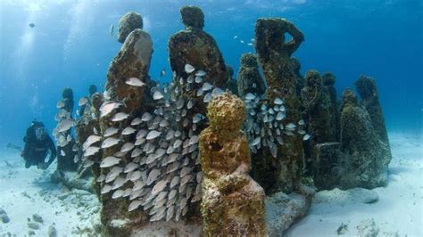 The Korean Island In Love With Sex BBC Reel