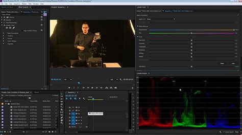 How To Color Correct Raw Video In Premiere Pro Beginners Guide Envato Tuts