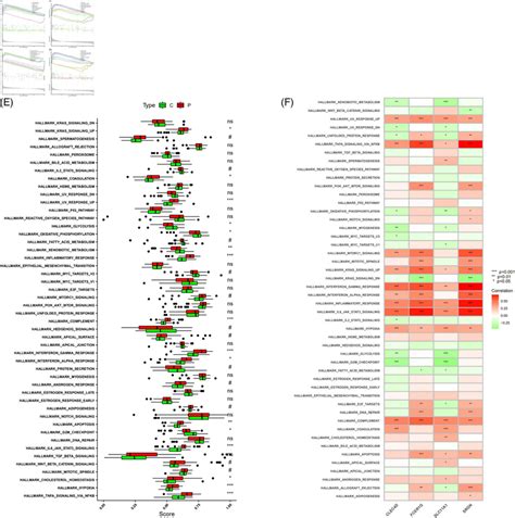 Ssgsea Analysis A Analysis Results Of Clec4d B Analysis Results Download Scientific