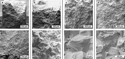 Sem Micrographs Of Fracture Surfaces After Tensile Testing Of The Base