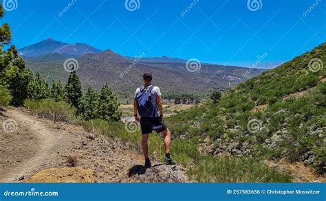Pico Verde Man With Scenic View On Volcano Pico Del Teide Surrounded By Canarian Pine Tree