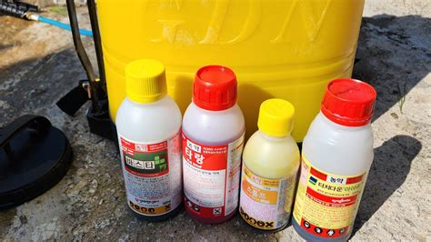 강력 제초제만들기 제초제효과적사용법 이렇게만들어 사용하면 더욱더 효과적 Youtube