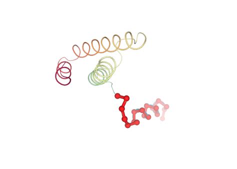 Protein Structure Flexibility Tutorial Using Bioexcel Building Blocks Biobb And Flexserv Tools