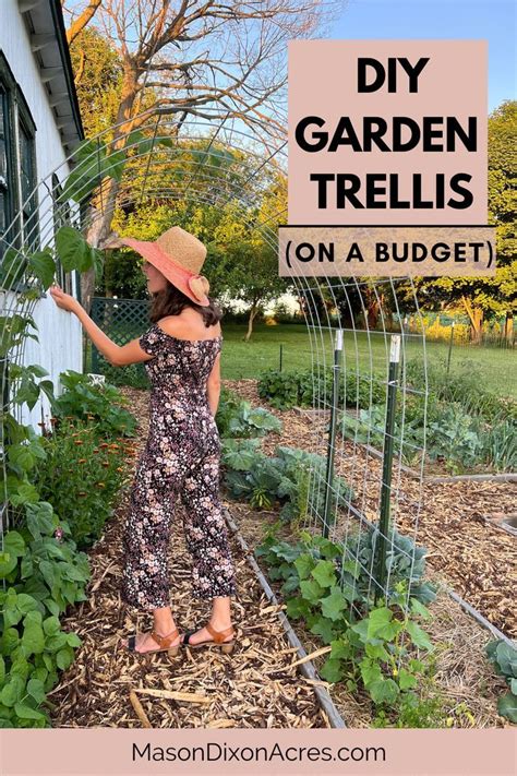 Easy DIY Arched Garden Trellis
