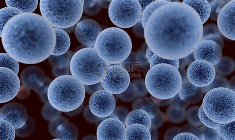 细胞图片素材 正版创意图片401872636 摄图网
