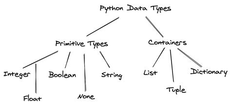python veri tipleri nelerdir bu veri tipleri neden var diyenler